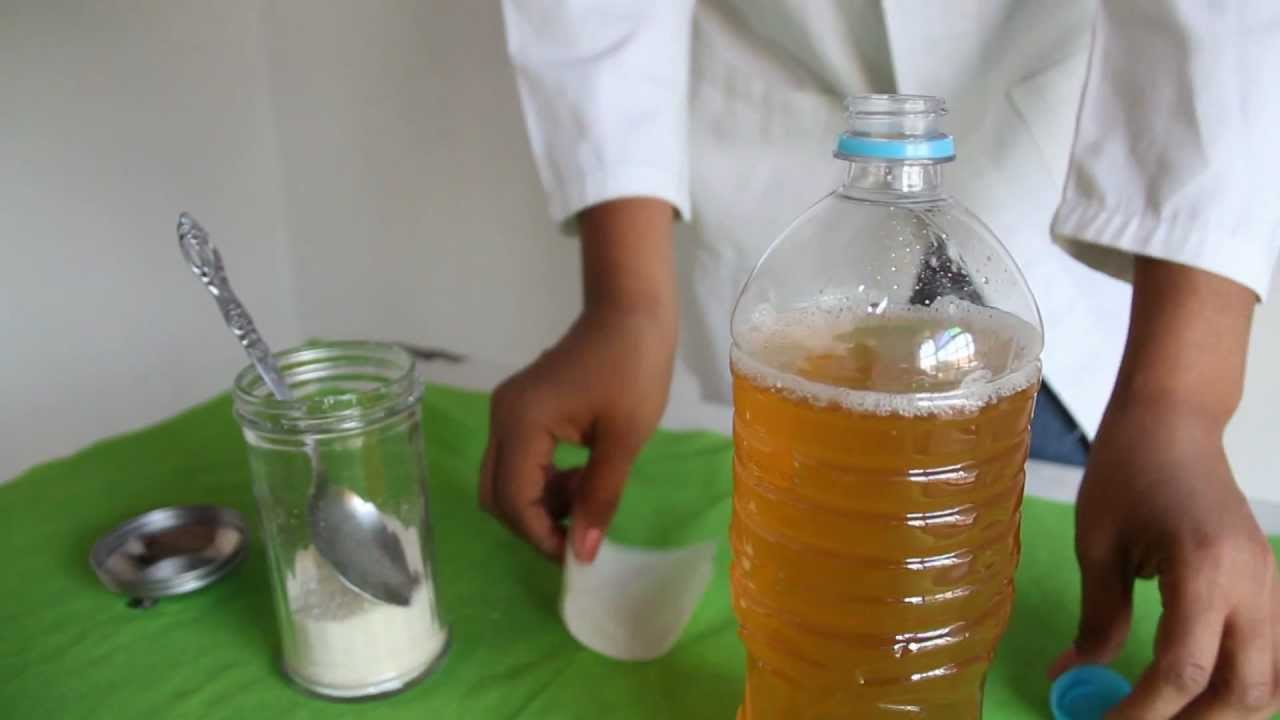 Tutorial para elaboración de cerveza en casa 3 (Embotellado) - YouTube