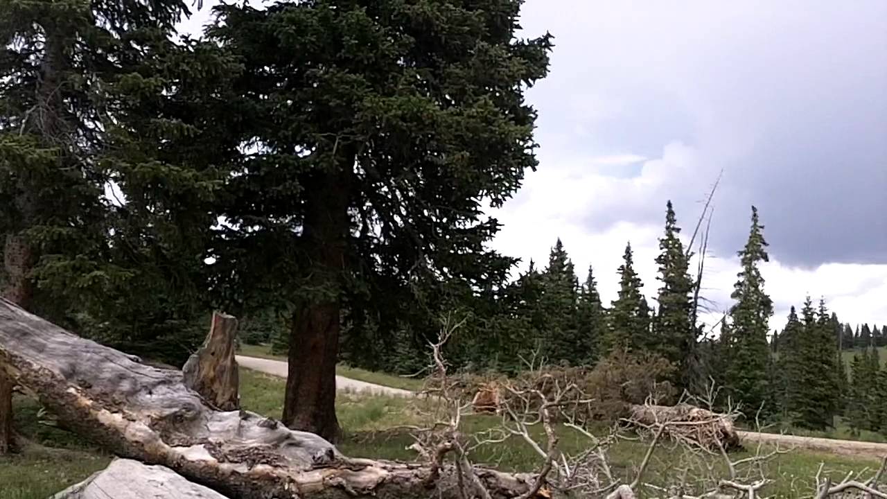 Summer 2013 Summitville CO - YouTube