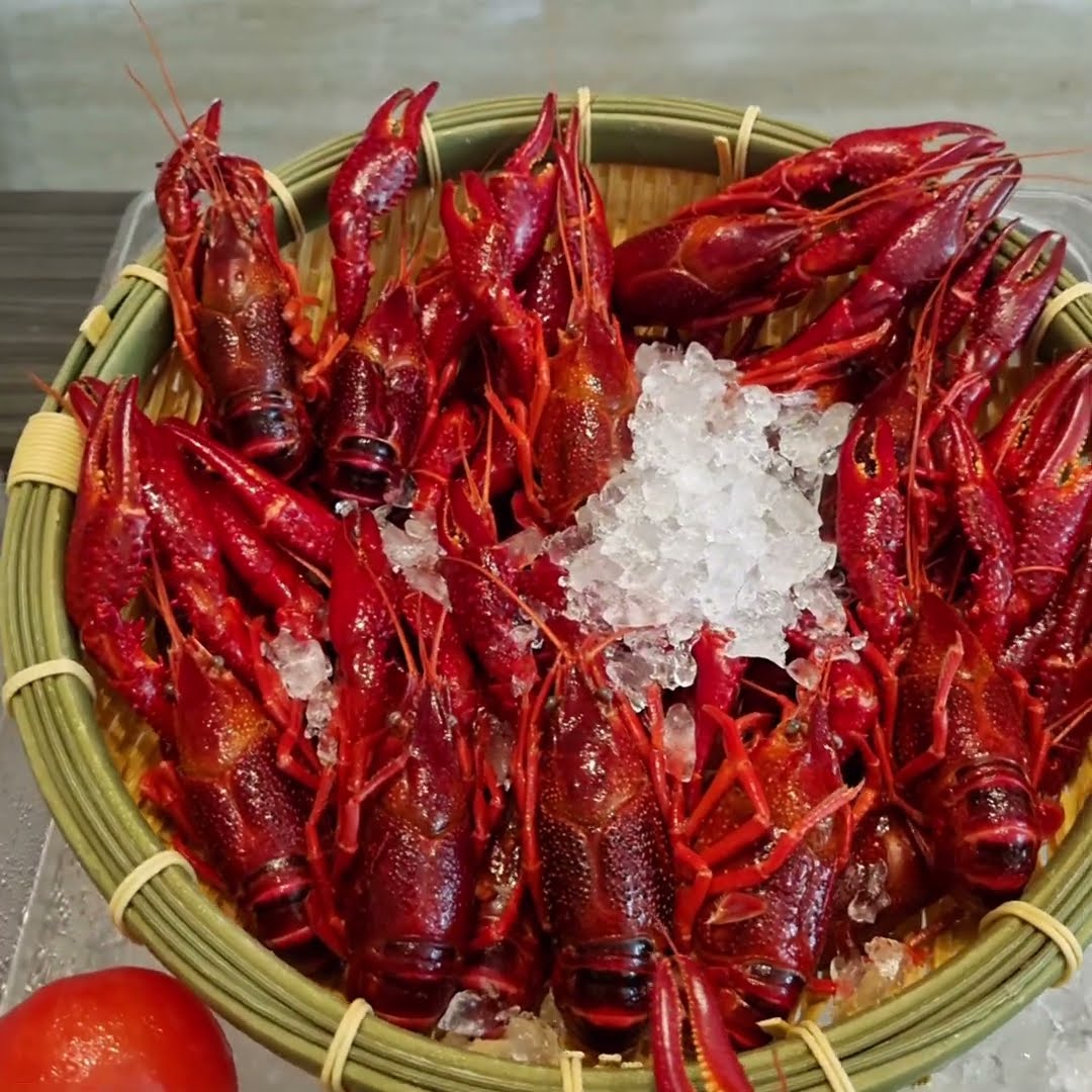 Mini Baby Crawfish Lobster! The Dining Room Buffet - Sheraton Towers ...