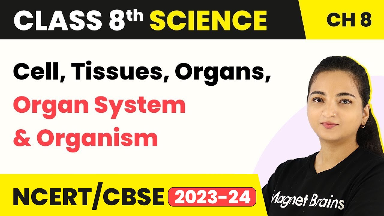 Cell, Tissues, Organs, Organ System and Organism | Class 8 Science ...