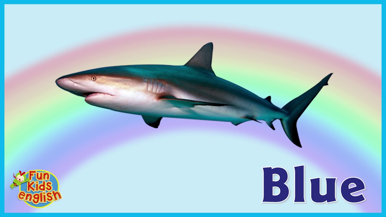 Blue Song | Learn Colors in English | Colors Song | ESL for Kids | Fun ...
