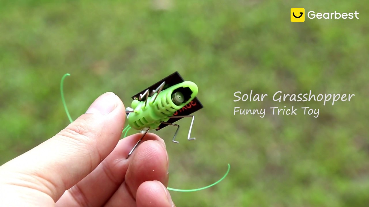 Solar Bionic Grasshopper New Fancy Tricky Puzzle Children's Toys ...