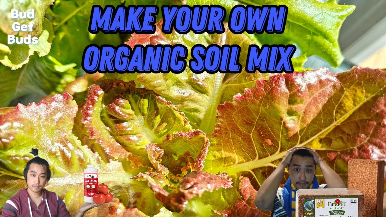 How to make a Budget soil mix. - YouTube