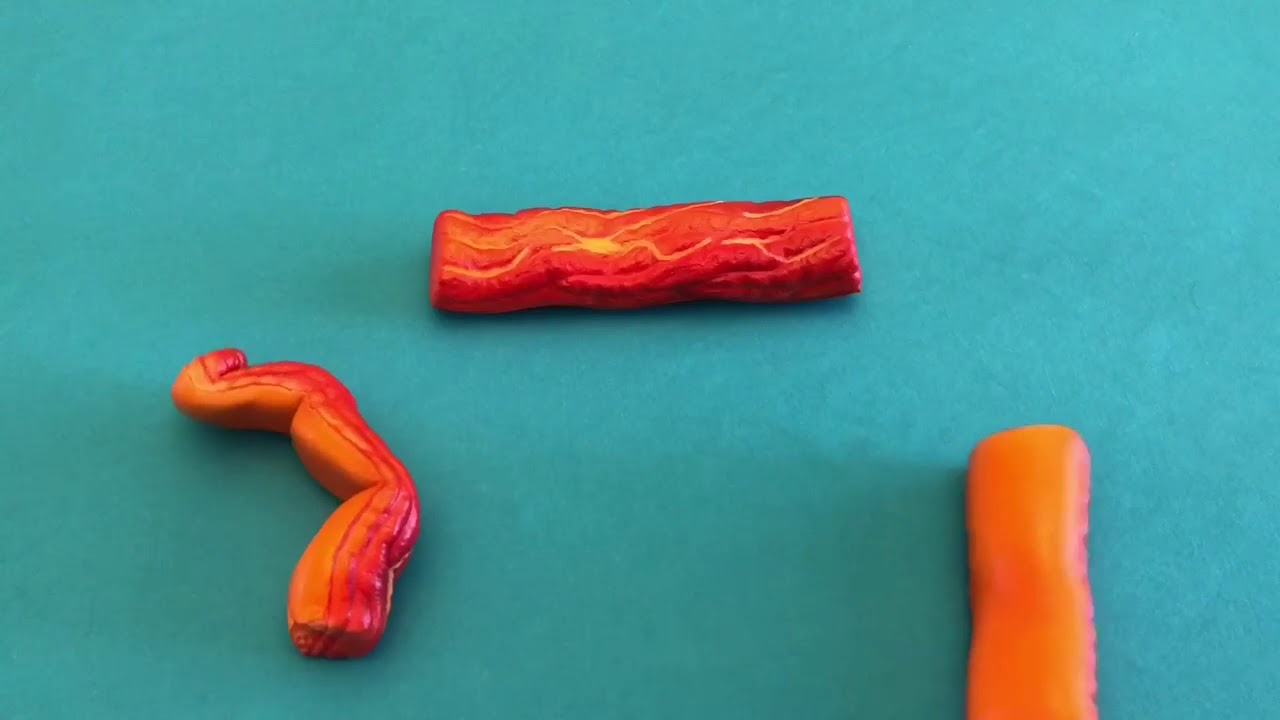 High Quality Slow Rising Bacon Foam Squishy! - YouTube