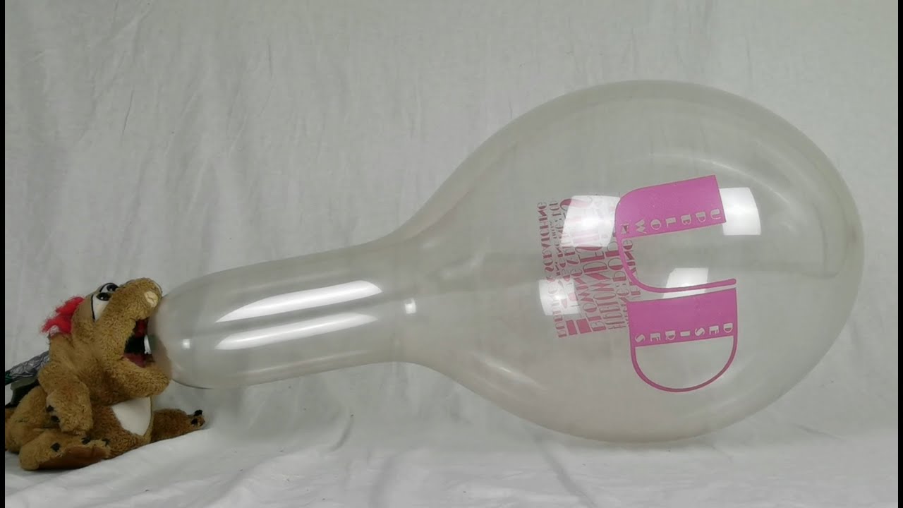 059 - blow to pop 14" crystal soap brown Belbal balloon - YouTube