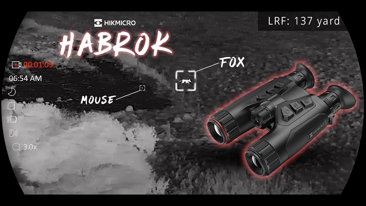 HIKIMICRO Habrok - Spotting a mouse over 135 yards away! - YouTube