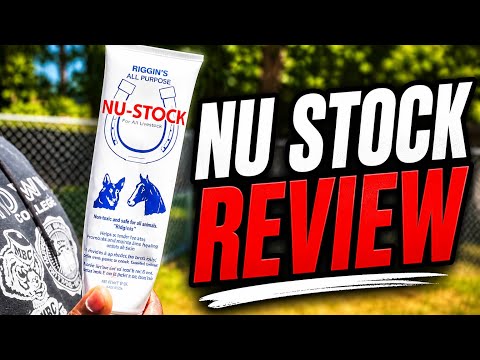Does Nu Stock really work on your dogs 💯 #dogtalk #hairgrowth #dog #puppy #nustock
