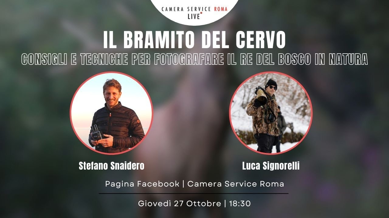 Il bramito del cervo. Consigli e tecniche per fotografare il re del ...