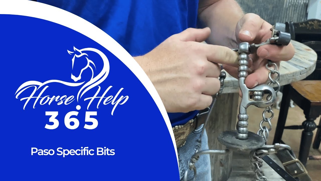 Paso Specific Bits | Horse Help - Michael Gascon - YouTube