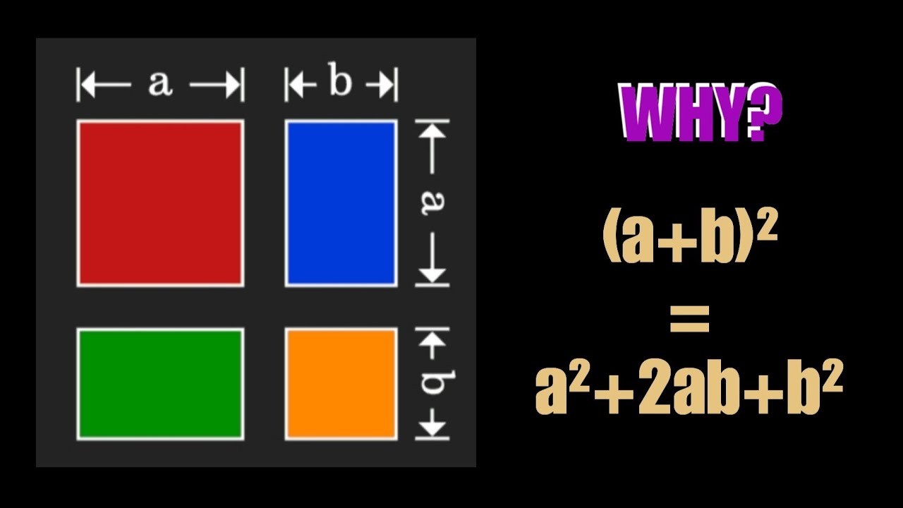 Why (a+b)² = a² + 2ab + b² | Algebraic Identity | Why a + b whole ...