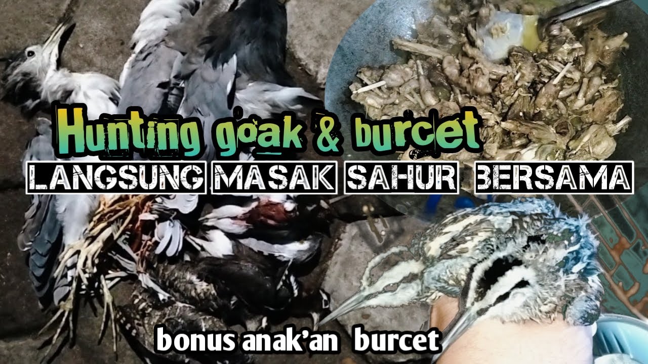 Hunting goak & burcet langsung masak sahur bersama // edisi Ramadhan ...