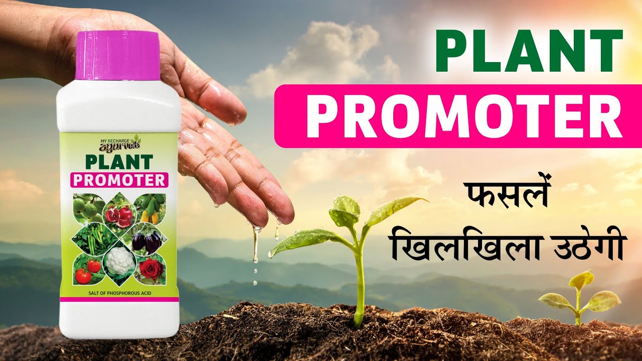 सब्जियों और फलों के लिए वरदान, Plant Promoter, plant growth - YouTube