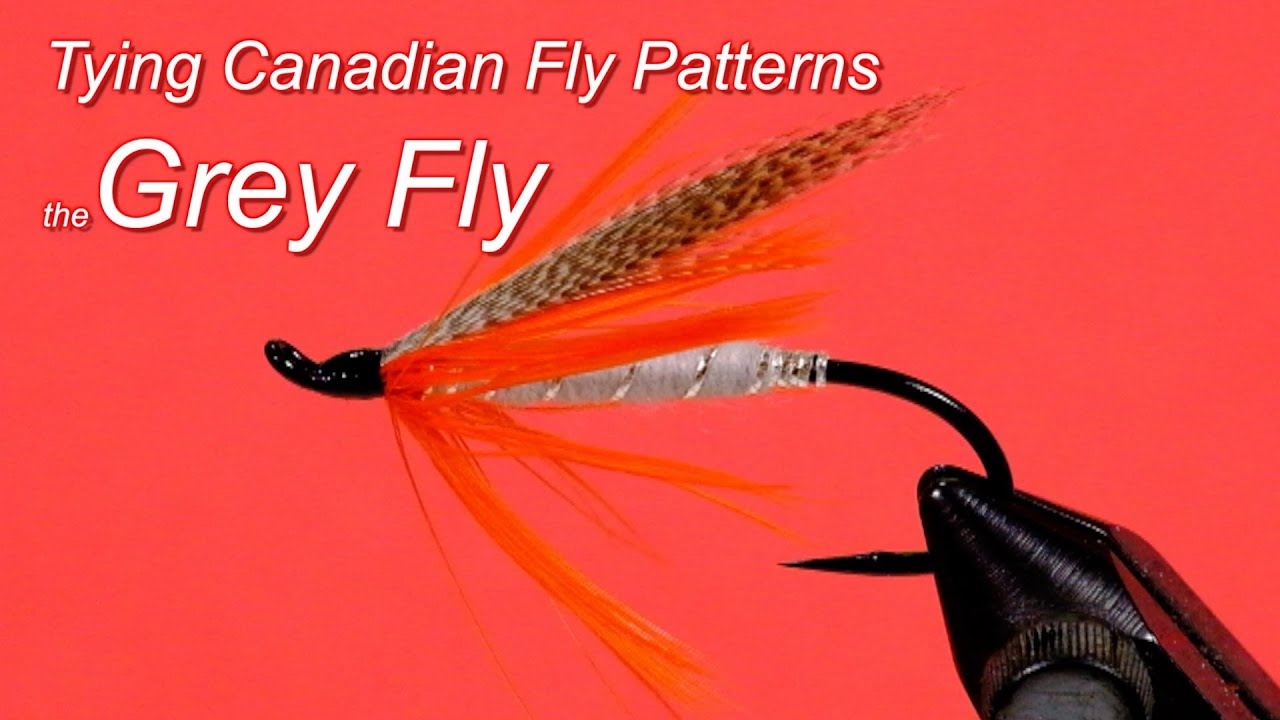 Tying Canadian Fly Patterns: the Grey Fly by Noel Money - YouTube