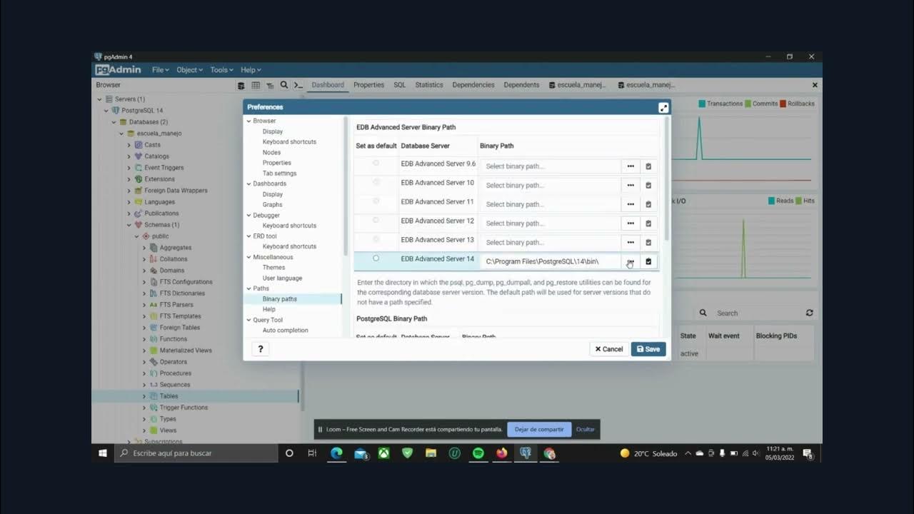Binary Path in the preferences dialog solution - YouTube