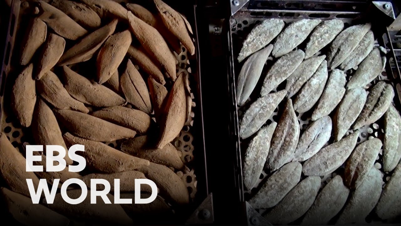 (ENG SUB) A “Katsuobushi” Factory that Keeps the Traditional Process ...