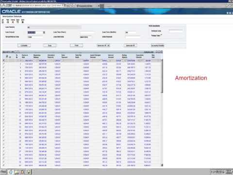 Debt Management Module for JD Edwards EnterpriseOne - YouTube