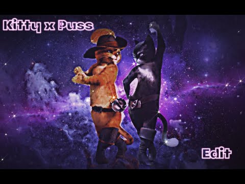 Puss x kitty ( puss in boots x kitty soft paws) edit 🐈‍⬛🐈 - YouTube