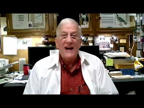 Brief Class 1 Video Intro - YouTube