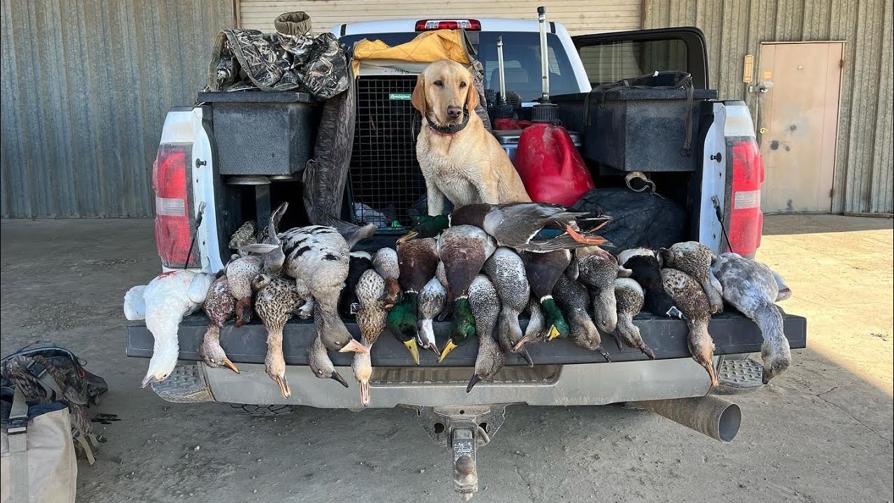 ARKANSAS PIT BLIND HUNT - YouTube