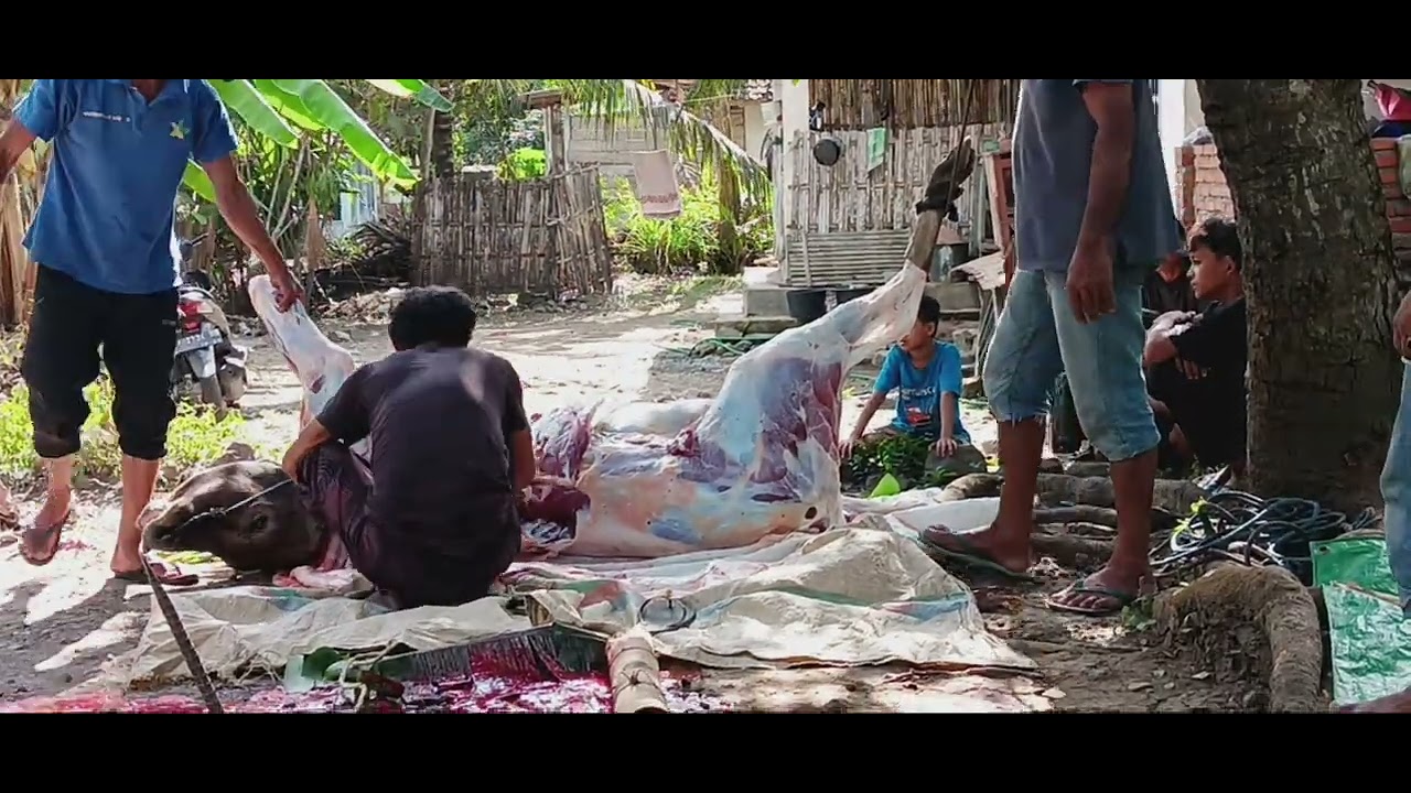 Super Gesit!!! Gaya Suhu si Jagal Bersihkan Daging Kurban - YouTube