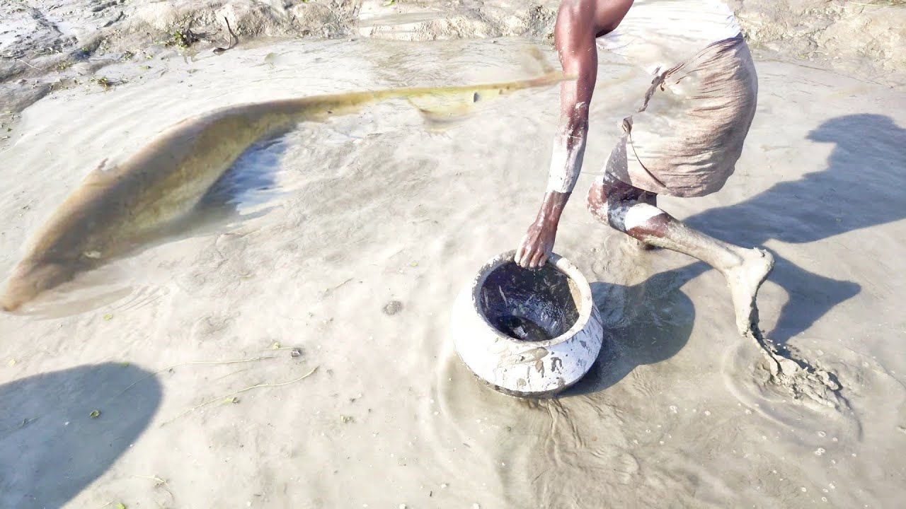 Mixing fish genetics||Fishing Vlog - YouTube