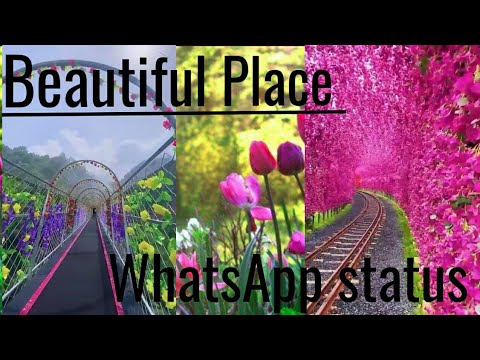 💞Beautiful Place📍Beautiful Place status 💕 Beautiful Place whatsApp status||🐾📍Plus Family.. 📍🐾