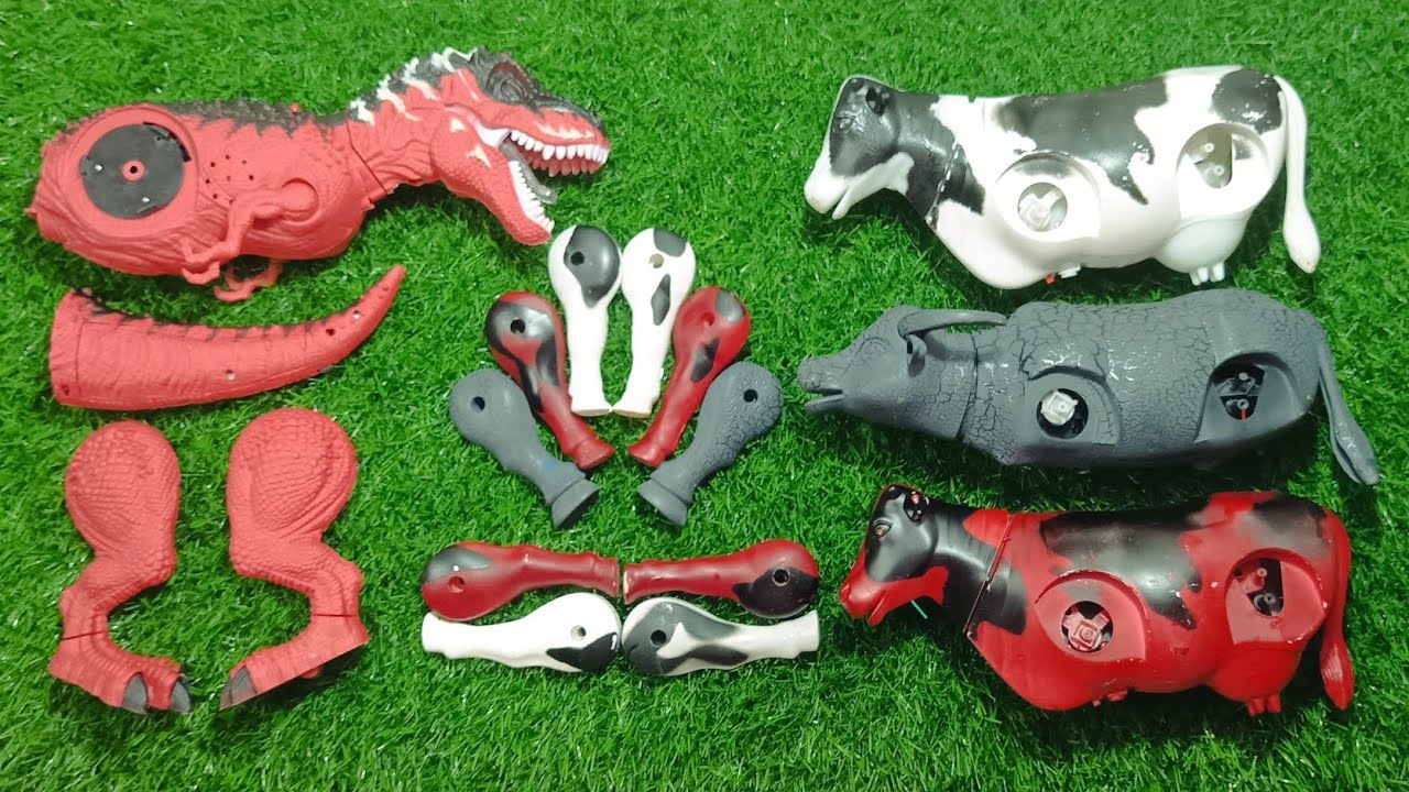 🐾🌈Menemukan Mencari Dan Menemukan 🦖Mainan Tyrex 🐄Sapi Putih 🐮Merah Dan ...