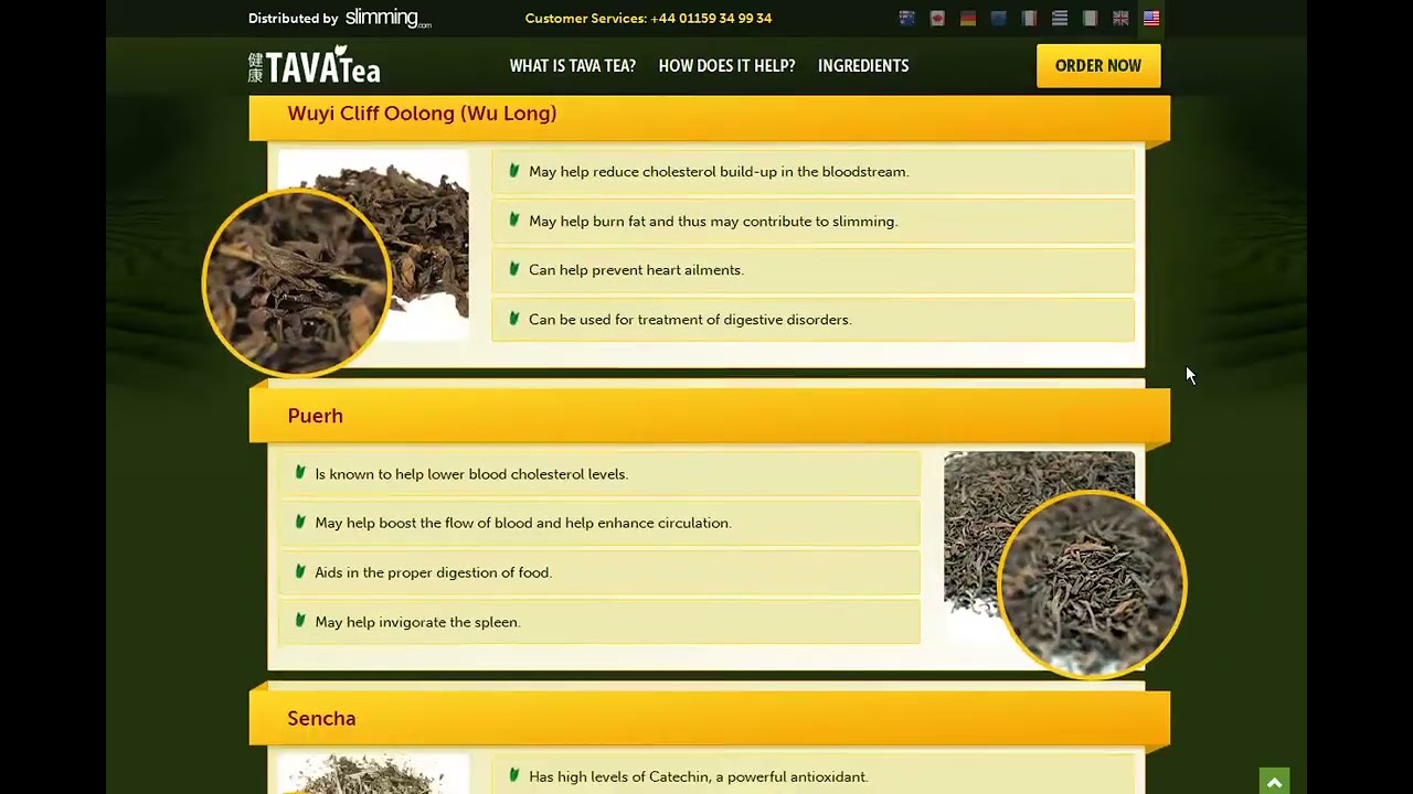 BEST GREEN TEA FOR WEIGHT LOSS - TAVA TEA THE BEST GREEN TEA FOR WEIGHT ...