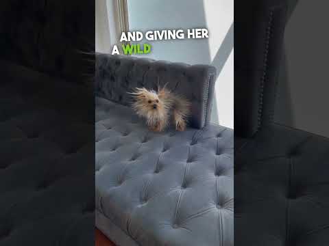 Don't Get too Close to Her