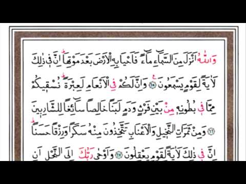 HATMI SERIF KURAN I KERIM 14 cüz hizli mukabele 2013 (hayrat)