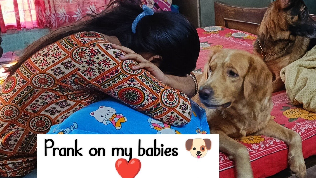 Prank on my babies, Simba jack ️ ️ - YouTube
