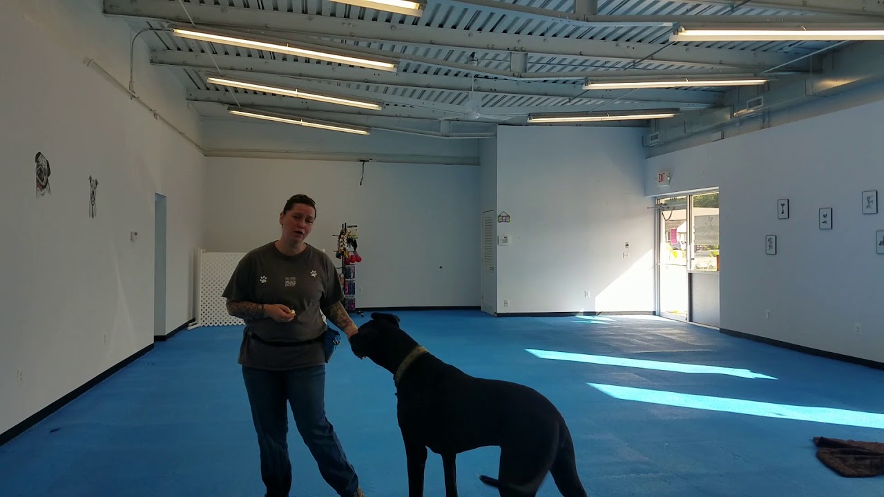 Hand targets - YouTube