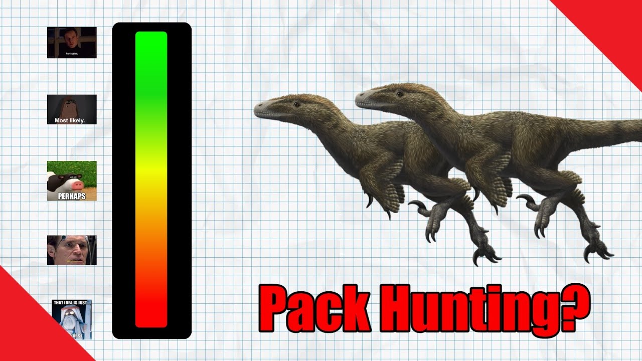 Did Raptor Dinosaurs Hunt In Packs? (Paleo Myths #6) - YouTube