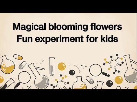 Magical blooming flowers Fun experiment for kids//at low budget - YouTube