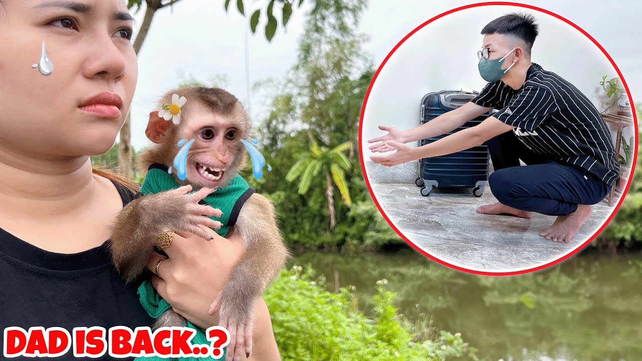 Monkey Kaka Misses Dad, Crying Calling Dad In The Dream! - YouTube