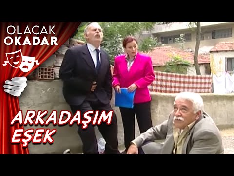 Arkadaşım Eşek | Olacak O Kadar