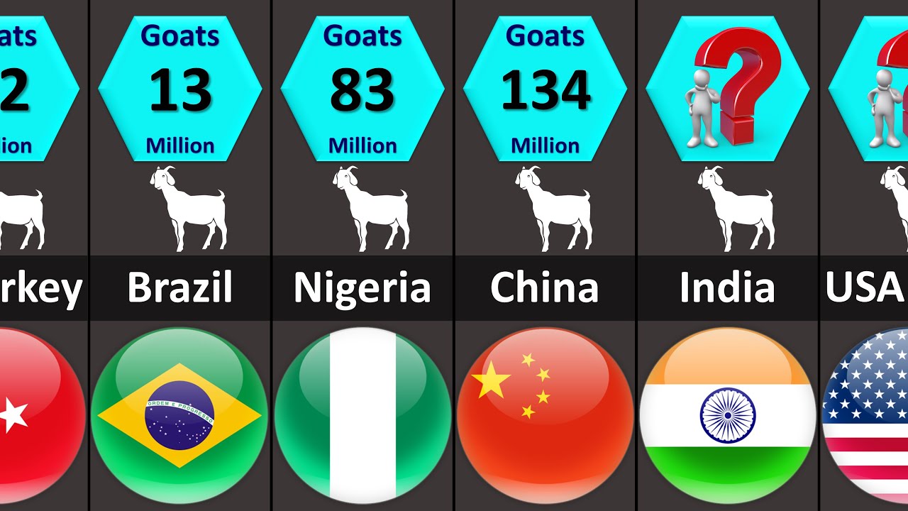 Most Goat Population by Country 2022 - YouTube