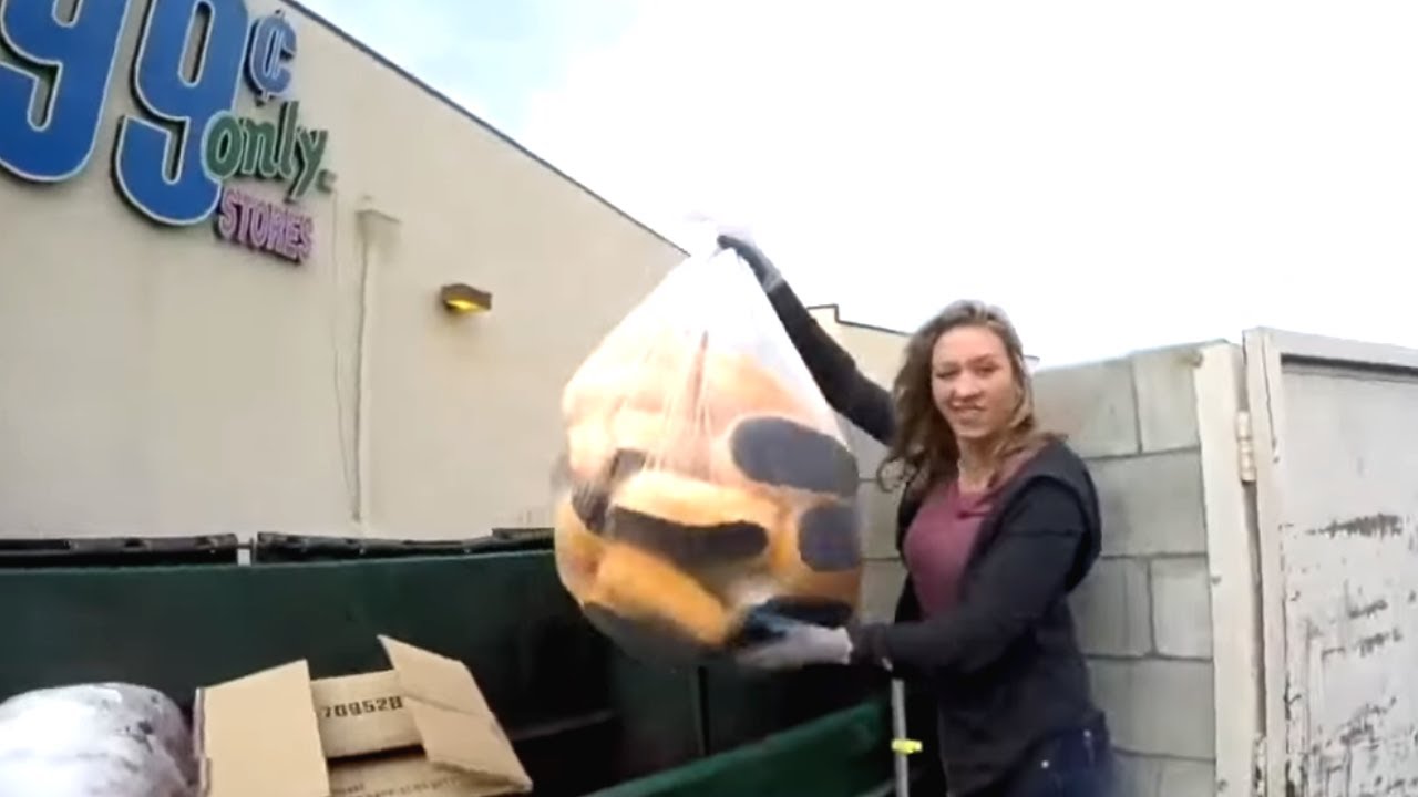 Ultimate Dumpster Diving Compilation: From Trash to Treasure! #27 - YouTube