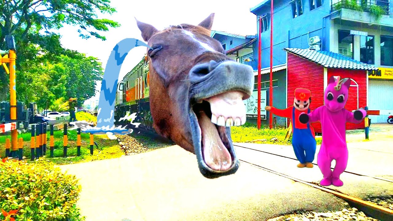 Move Away Clown..Funny Pony Head Train is Heading Towards You ...