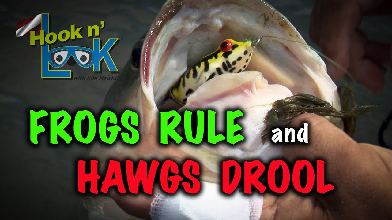 Frogs Rule and Hawgs Drool - YouTube