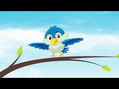 Hz. süleyman'ın hayatı, Hz. süleyman kıssası, dini hikayeler çoçuklar için