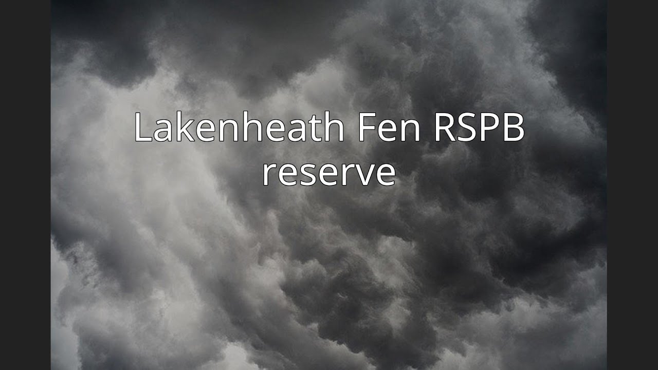 Lakenheath Fen RSPB reserve - YouTube