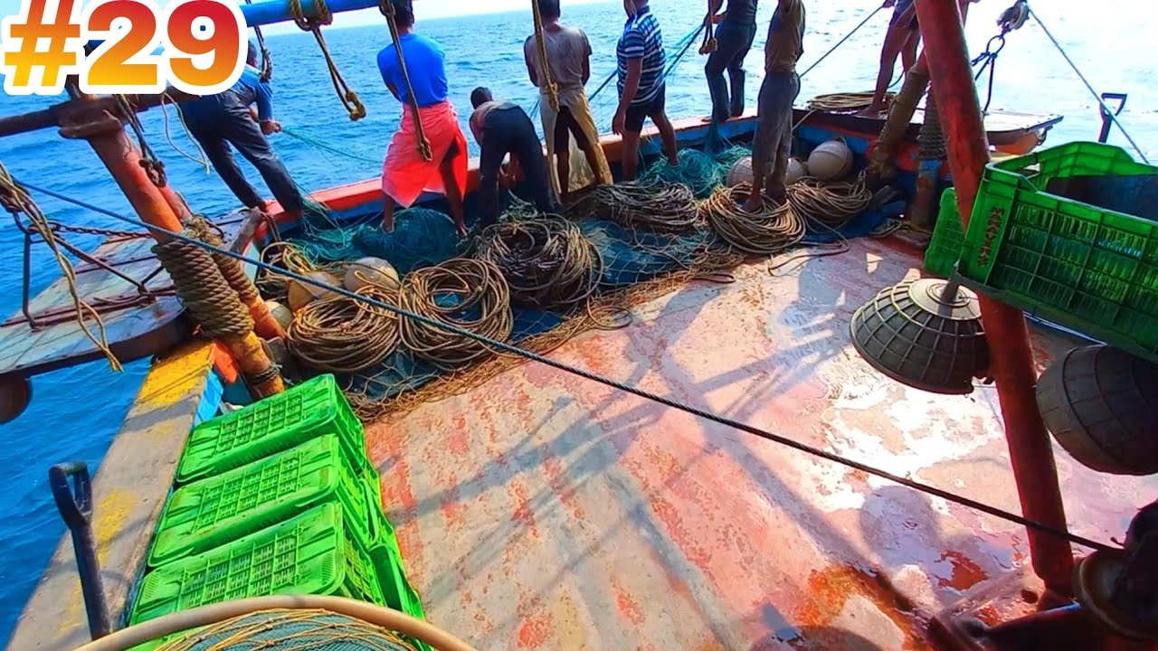 Pate 29 10 MILLION BIG FISHES AND SAMUNDAR River Fish Everyday caught ...