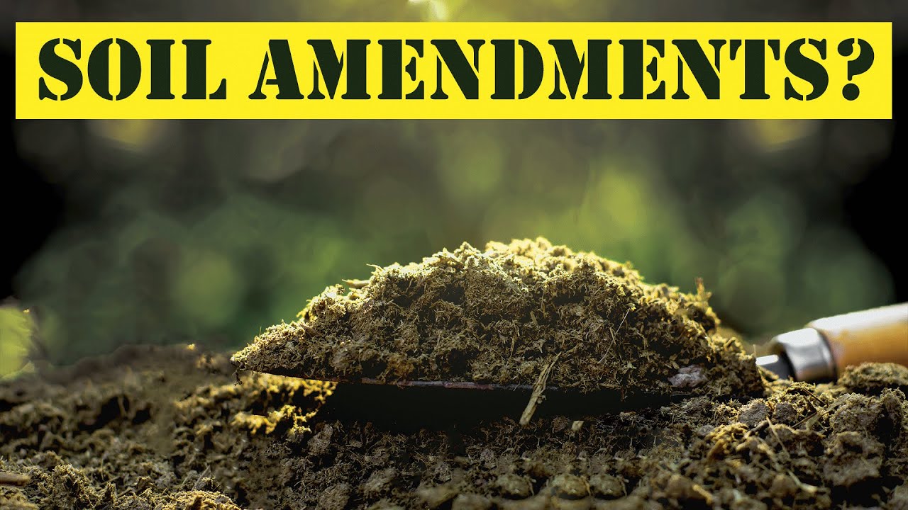 What Are Soil Amendments? (Most Used Amendments) - YouTube