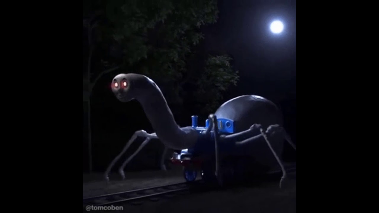 Brave Wilderness Thomas Spider - YouTube