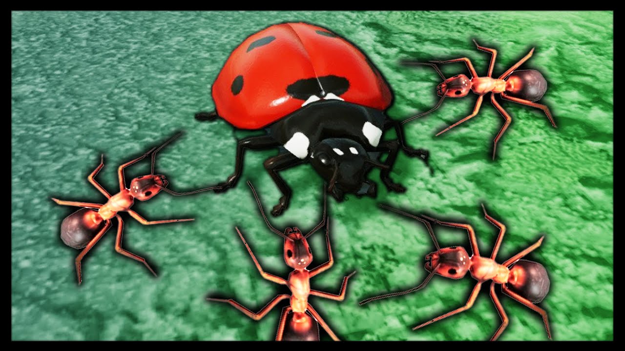 Hangya VS Katica 🐞 - Empires of the Undergrowth 2 - YouTube