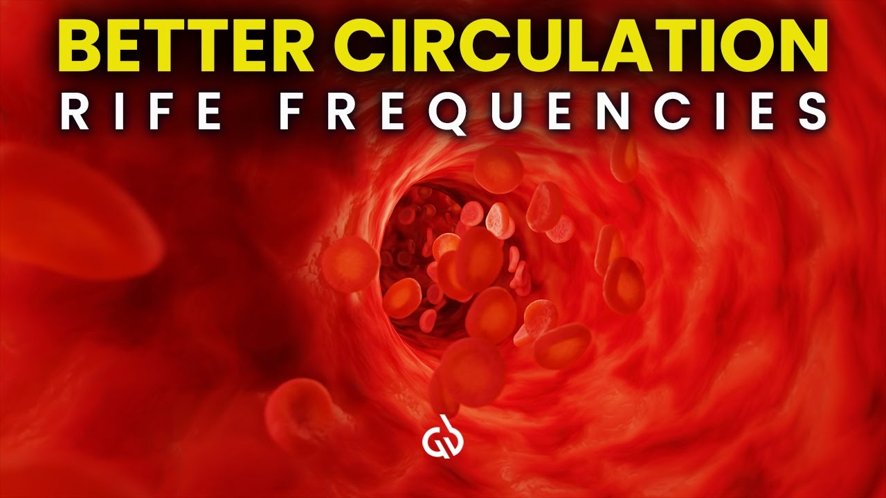 Improve Blood Circulation: Rife Frequencies for Blood Circulation ...