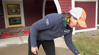 Kelly's garden videos 2020: Fall planting