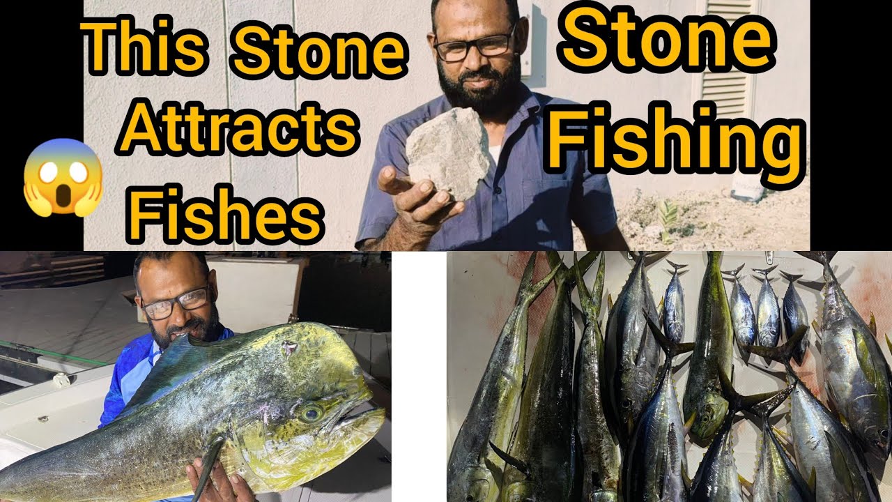 Have you heard of stone fishing😱🎣new fishing technique unlocked 🔓🎣💯 ...