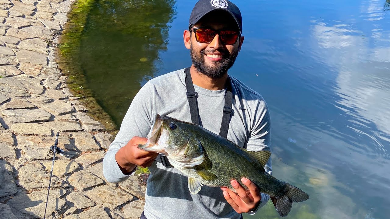 EPIC Fish Catch! Pond hopping at its finest! - YouTube